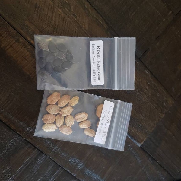 10 Rishi Ridge Gourd Seeds; Indian Angled Loofah; Luffa Acutangula; Non ...