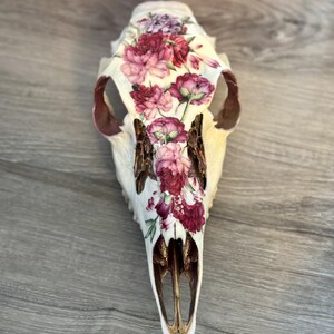 Rabbit Head Taxidermy in Golden and White Frame - Etsy