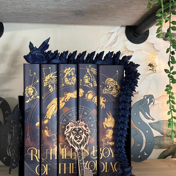 Fourth Wing 3d Printed Map - Etsy