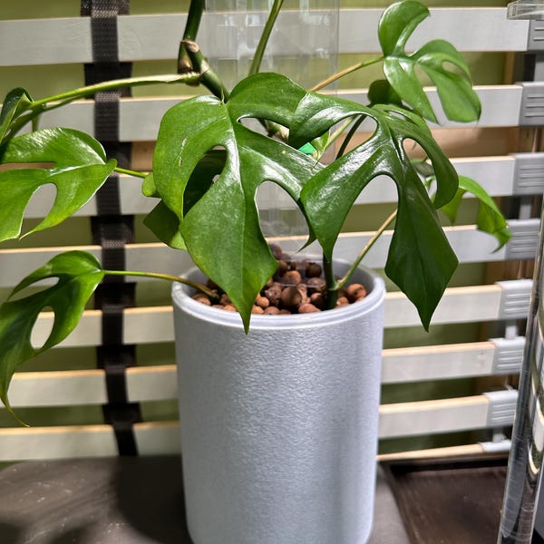 Sitting Chick Plant Pot Cute Animal Planter Minimalistic Decor 3D ...