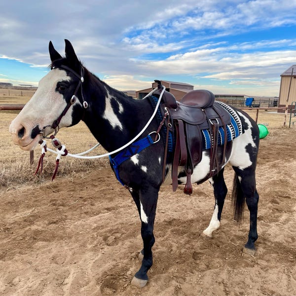 Yacht Rope Sport Mecate Reins W Poppers! Use With Slobber Straps ...