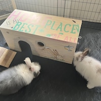 Haahoos in the Night Garden Wall Sticker - Etsy Canada