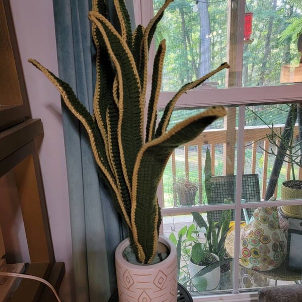 Snake Plant Crochet Pattern - Etsy