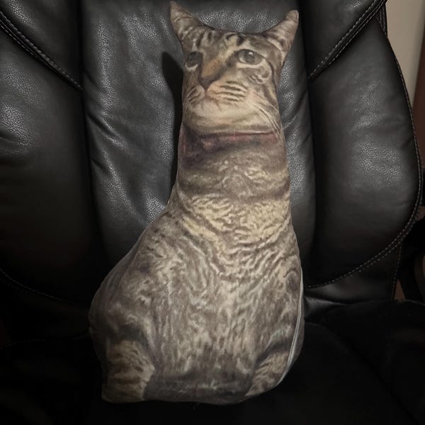 Ugly Pet Pillow, Ugly Cat Pillow, Ugly Dog Pilow, Pet Pillow, 3D Shape ...