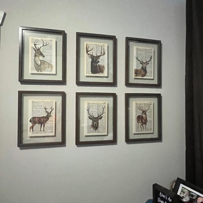 Set of 6 Frog Themed Dictionary Prints - Etsy