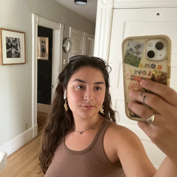 Invisible Septum Retainer, Horseshoe Septum Ring, Barbell Septum Ring ...