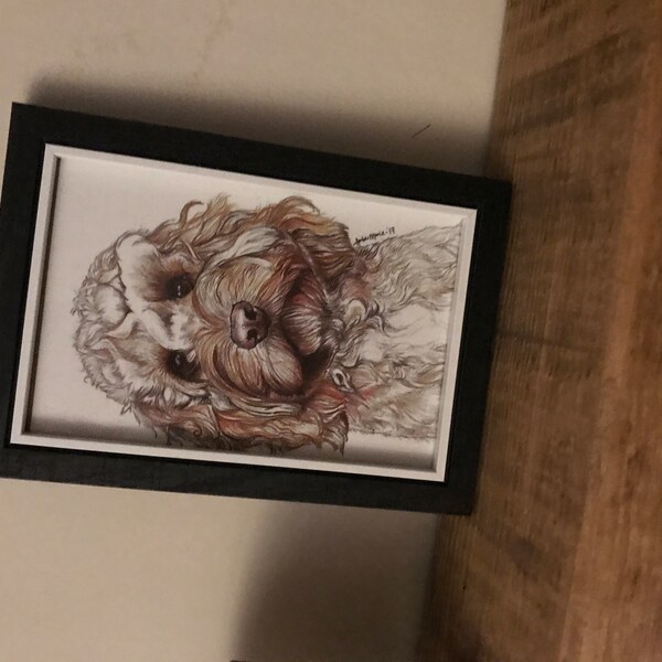 Cockapoo Greeting Card / Variety of Doodle Labradoodle Cavachon and ...