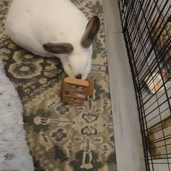 Straw Hay Wreath Ring Chew for Bunnies and Guinea Pigs | Natural Hay ...