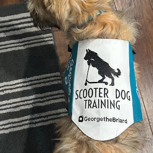 Dog Leash Wrap, Dog Leash Sleeve, Dog Leash, Dog Gear, Custom ...