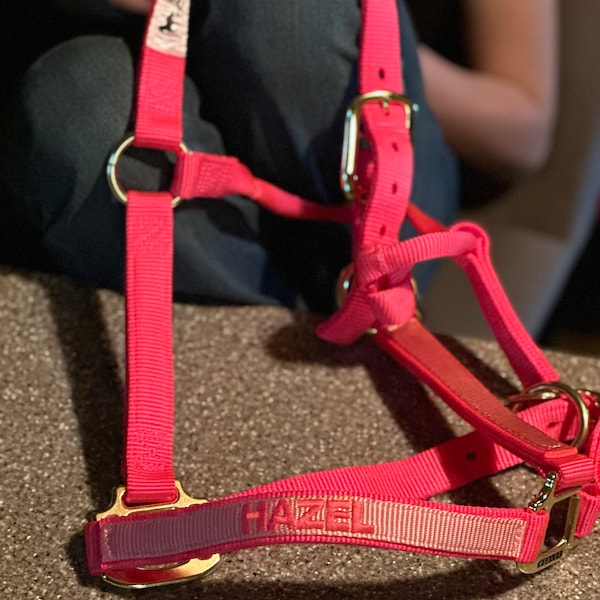 Personalized Horse Halter, Halter, Monogrammed Horse Halter, Horse ...