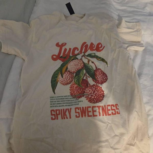 Lychee Commercial Graphic Shirt, Vintage 90s Fruit Lover Shirt, Lychee ...