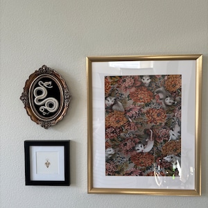 Real Silver Toadfish Skull, Silver Toadfish Skeleton, Lagocephalus ...