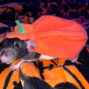 Jack O' Lantern Cape Costume for Pet Rats Orange Cape | Etsy