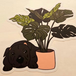Jindo Monstera Vinyl Sticker Jindo Sticker Monstera Sticker Plant ...