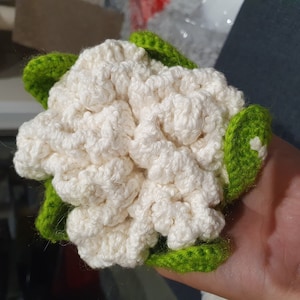 LETTUCE Crochet Pattern PDF Crochet Lettuce Pattern. - Etsy