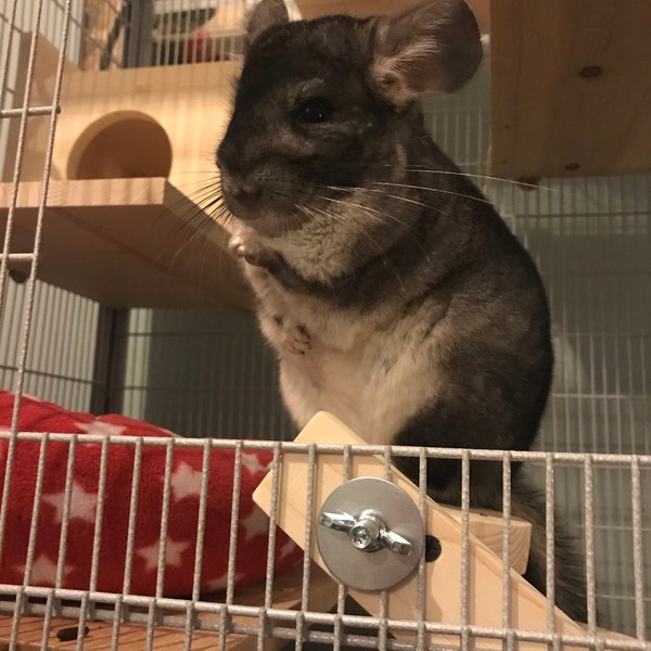 Wooden Step Ledge for Chinchilla / Play Accessories for Pet Rat Cage - Etsy