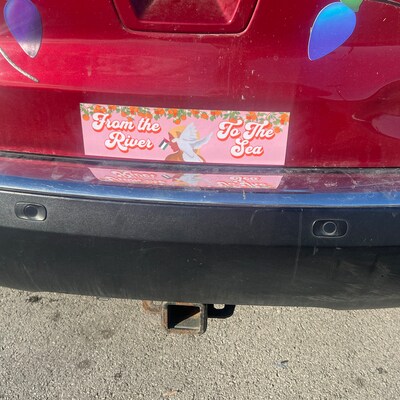 Cat Meme Bumper Sticker and Funny Bumper Magnet Gen Z, Cat Car Sticker ...