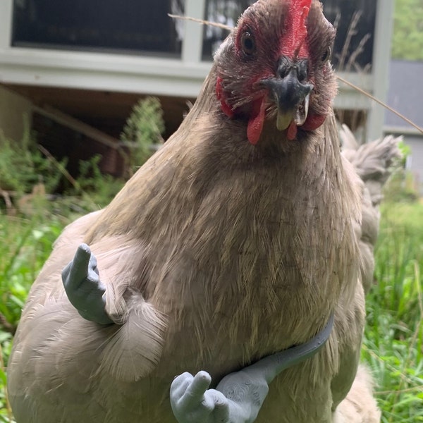 Middle Finger Muscle Arms for Chickens - Etsy