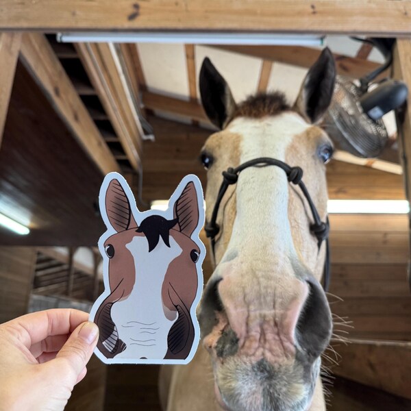 Customizable Peeking Horse Decal Personal Sticker Gift for Equestrian ...