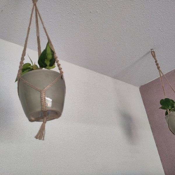 Card and Dried Flower Holder 10 Cm. - Card Holder With Space for Dried ...