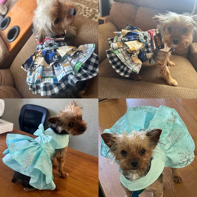 Isabella Dog Dress 3X Sewing Pattern PDF Big Dog Clothes - Etsy