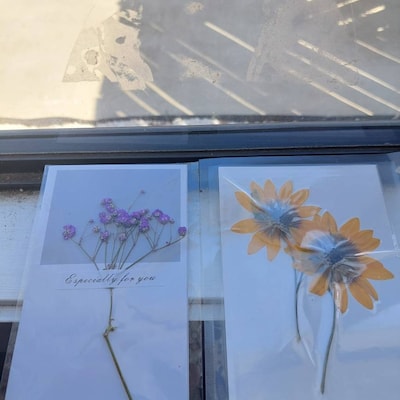 Pressed Flower,sunflower Pressed Flower,set of 2 Pcs,pressed Yellow ...