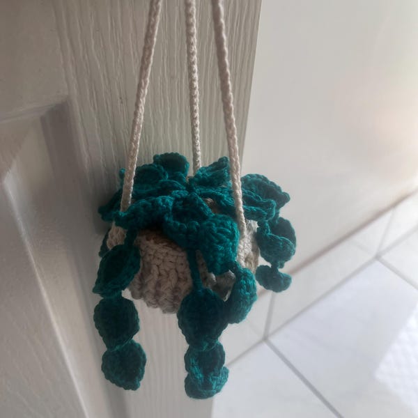 Tiny Pothos Crochet Pattern Bundle | Pothos Jade, Monstera and String ...