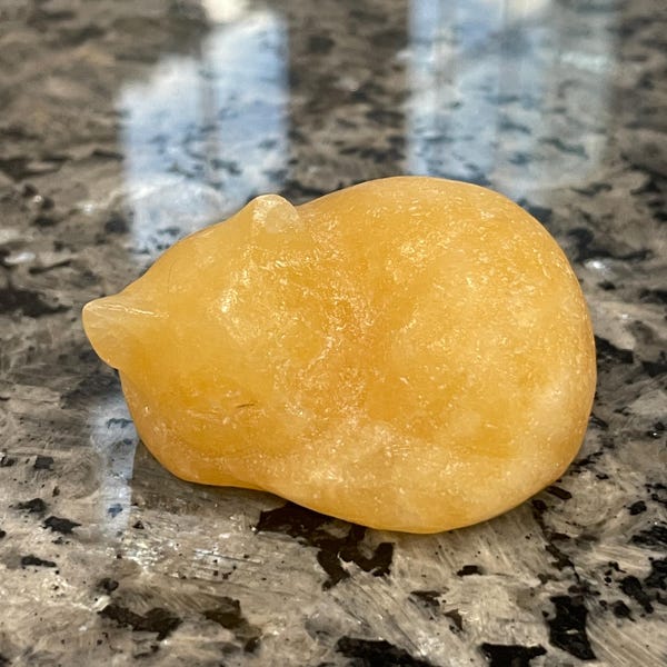 Megalodon Fossil Tooth Real Fossil Shark Teeth From South Carolina 1 ...