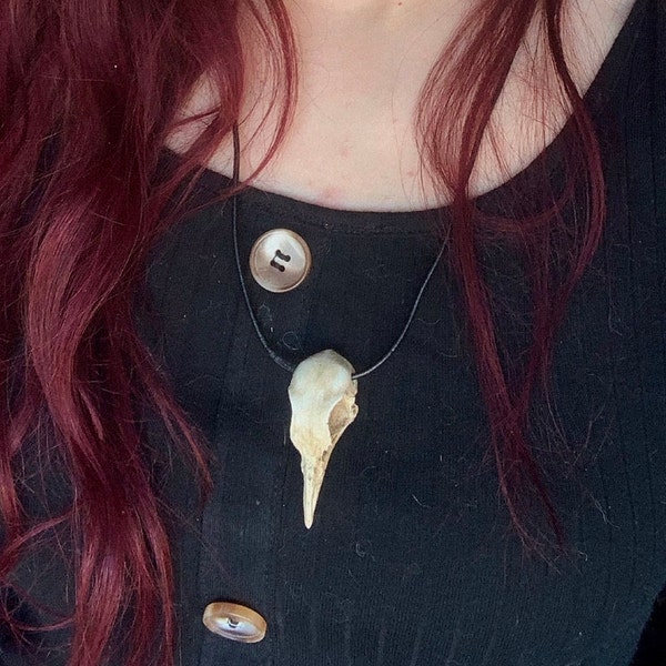 Raven Skull Replica Catalyst Studios Exclusive for Display Costume ...