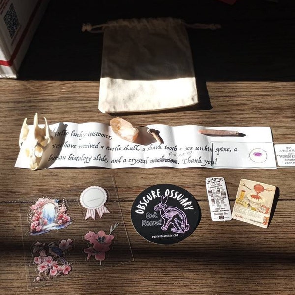 Bone, Skulls, and Oddities Mystery Bag - Etsy