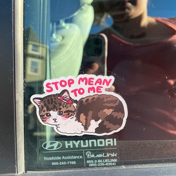 Stop Mean to Me Kawaii Pink Crying Cat Die Cut Sticker – Cat Meme Water ...