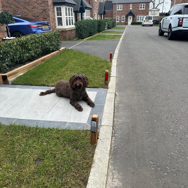 Reflective Site Peg/verge Post, 14", 18", 24" or 36" Push in Ground - Etsy UK