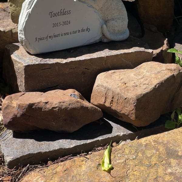 Personalized Garden Stones Engraved With Any Message, Laser Engraved ...
