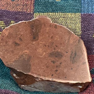 Green River Formation Partial Fossil Fish - Etsy