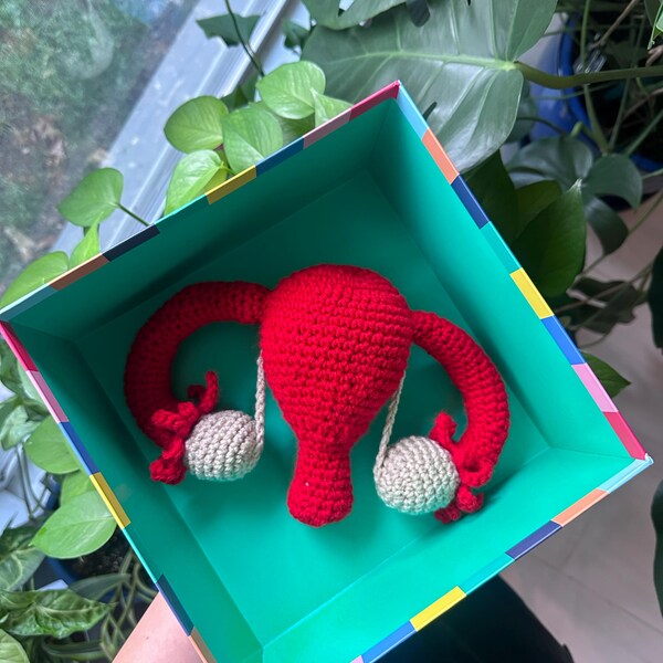 Crochet Pattern!! UTERUS With Fallopian Tubes & Ovaries | Womb Model ...