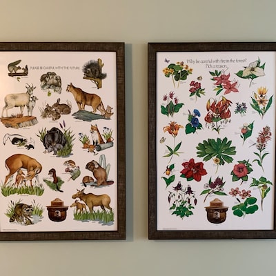 Smokey Bear Tree ID Poster - Etsy