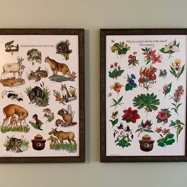 Smokey Bear Tree ID Poster - Etsy