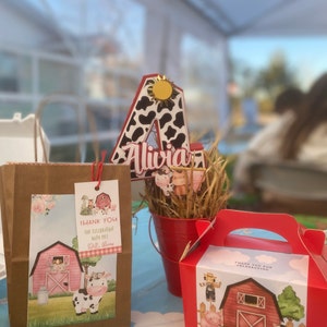 Girl Farm Centerpieces Pink Farm Party Table Decor Farm Girl | Etsy