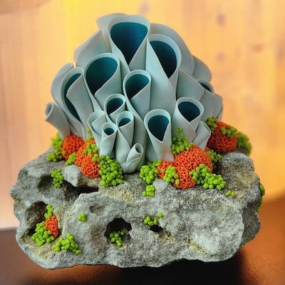 White & Black Coral Reef Scape W Red Gold Accents on Found - Etsy