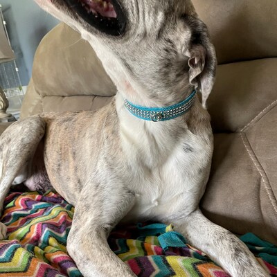 Caduceus Military GI Dog Tags Custom Aluminum Engraved Dog Tags Medical ...