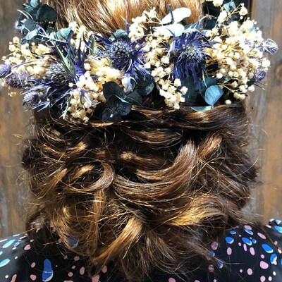 Real Dried Thistle Crown, Dried Eucalyptus and Preserved White Roses ...