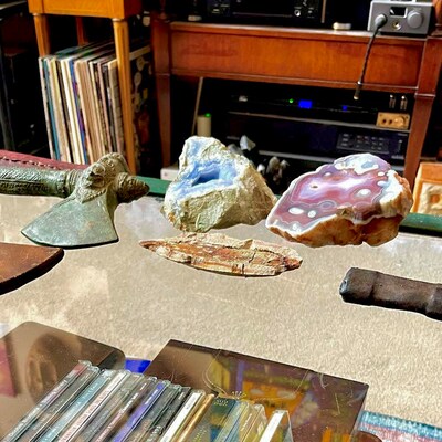 Agatized Turritella Shells - Etsy