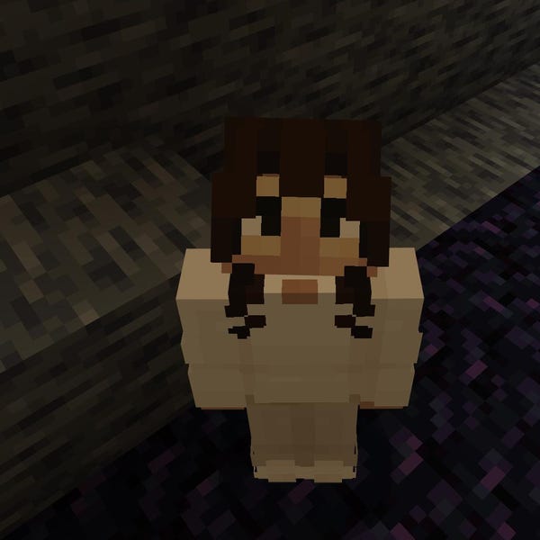Custom Minecraft Skins | Made to Order - Etsy