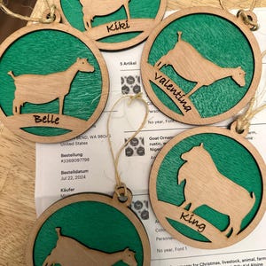 Market Barrow Hog Pig Show Award for Livestock Show Expo 4H Trophy - Etsy