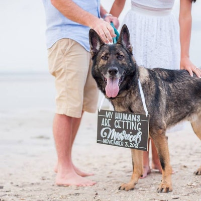 She Said Yes Engagement Sign Engagement Chalkboard Dog - Etsy