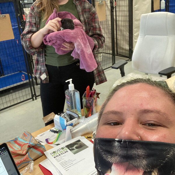 Religious Face Masks, Christian Face Masks, Biblical Face Masks, Jesus ...