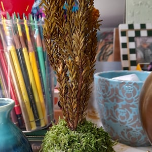 Mini Moss Wall Art in Miniature Embroidery Hoop Long Lasting - Etsy