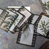 English Tea Stickers 40 Stickers Vintage British Stickers Retro ...
