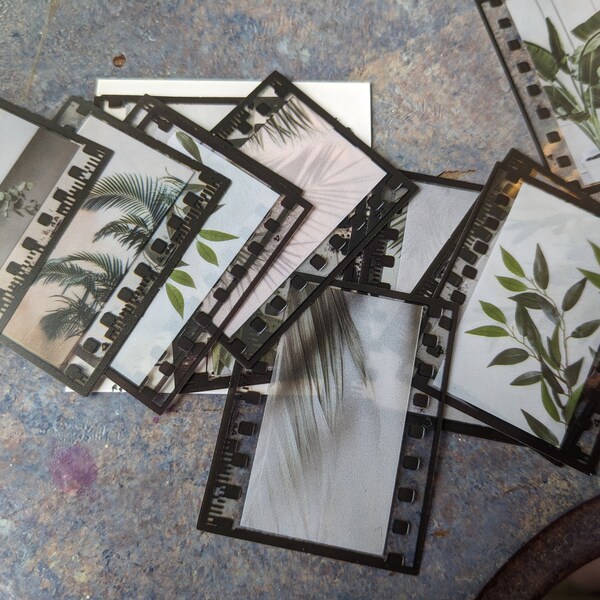 Photo Negative Stickers - 8 Colour Choices - Scrapbook Supplies ...