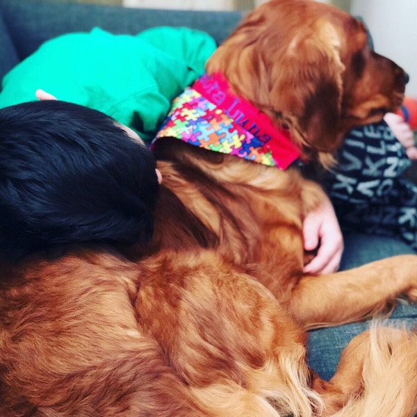 Personalized Autism Awareness Bandana, Puzzle Dog Collar Scarf, Pet ...